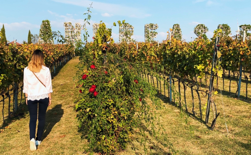 Scheiblhofer wine, Austrian delight and sensation - Moname Magazine