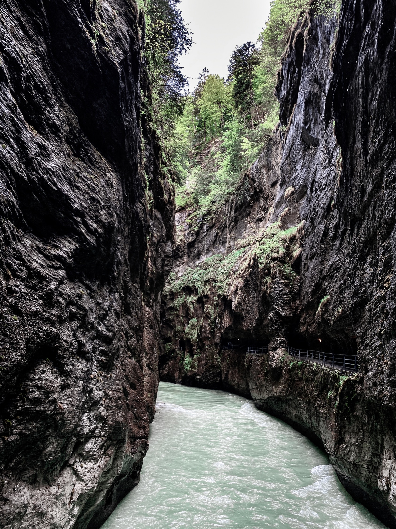 Aareschlucht (Aare Gorge) - Moname Magazine