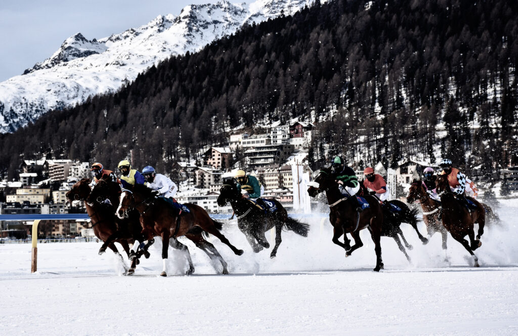 White Turf - Horse Race - Good to knows 2023 - MonAme Magazine